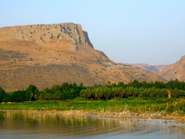 Israel Gallery - Walking The Text