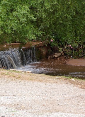 Turkey Gallery - Walking The Text WTT